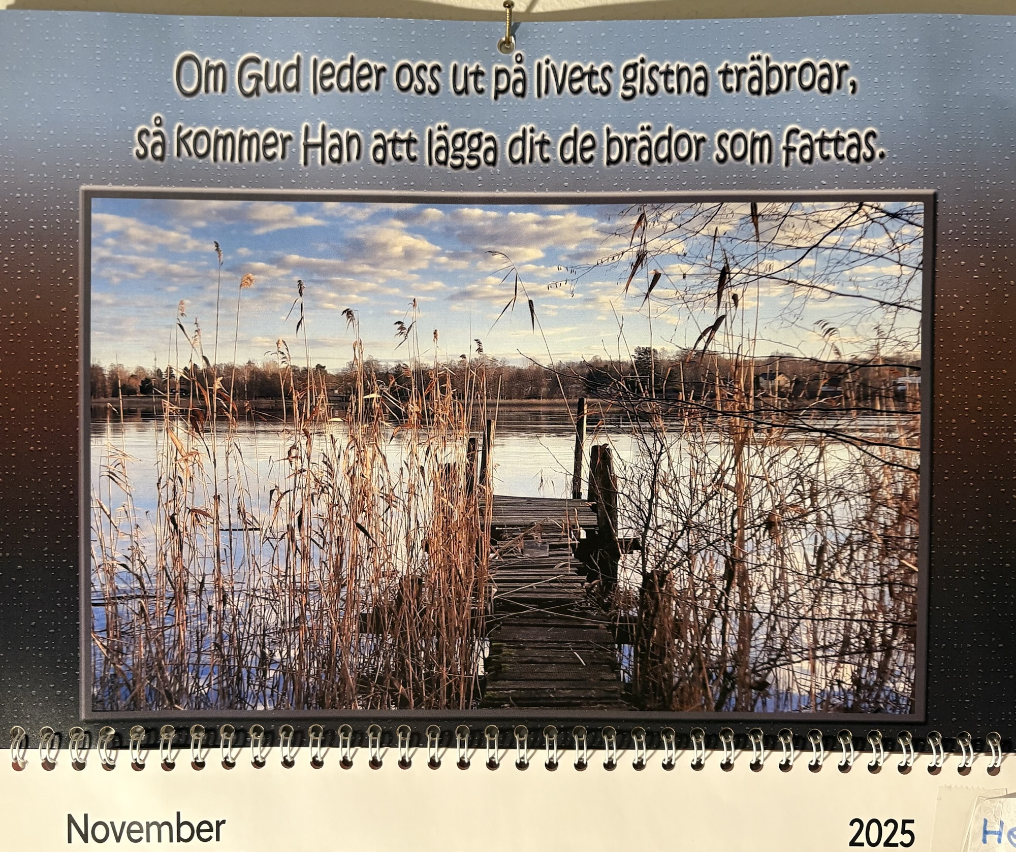 2 november, 2025 – Förnöjsamhet och glädjesprång gör livet till en ...